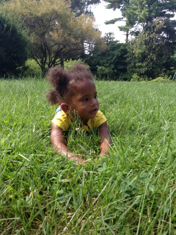 An Old Church Cornice – Simply Turquoise